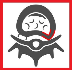 Sciatica – The Bio Log